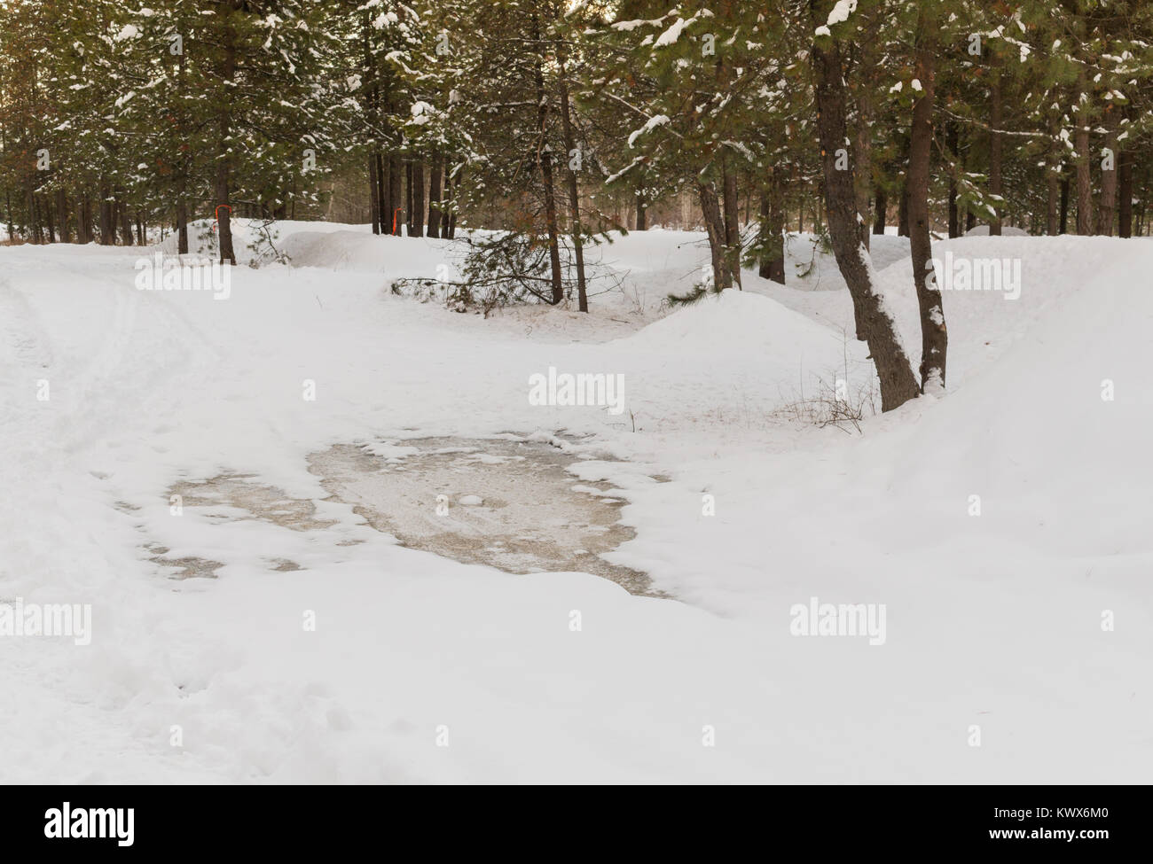 Patch of ice in a snowy forest landscape in the West Kootenay region of ...
