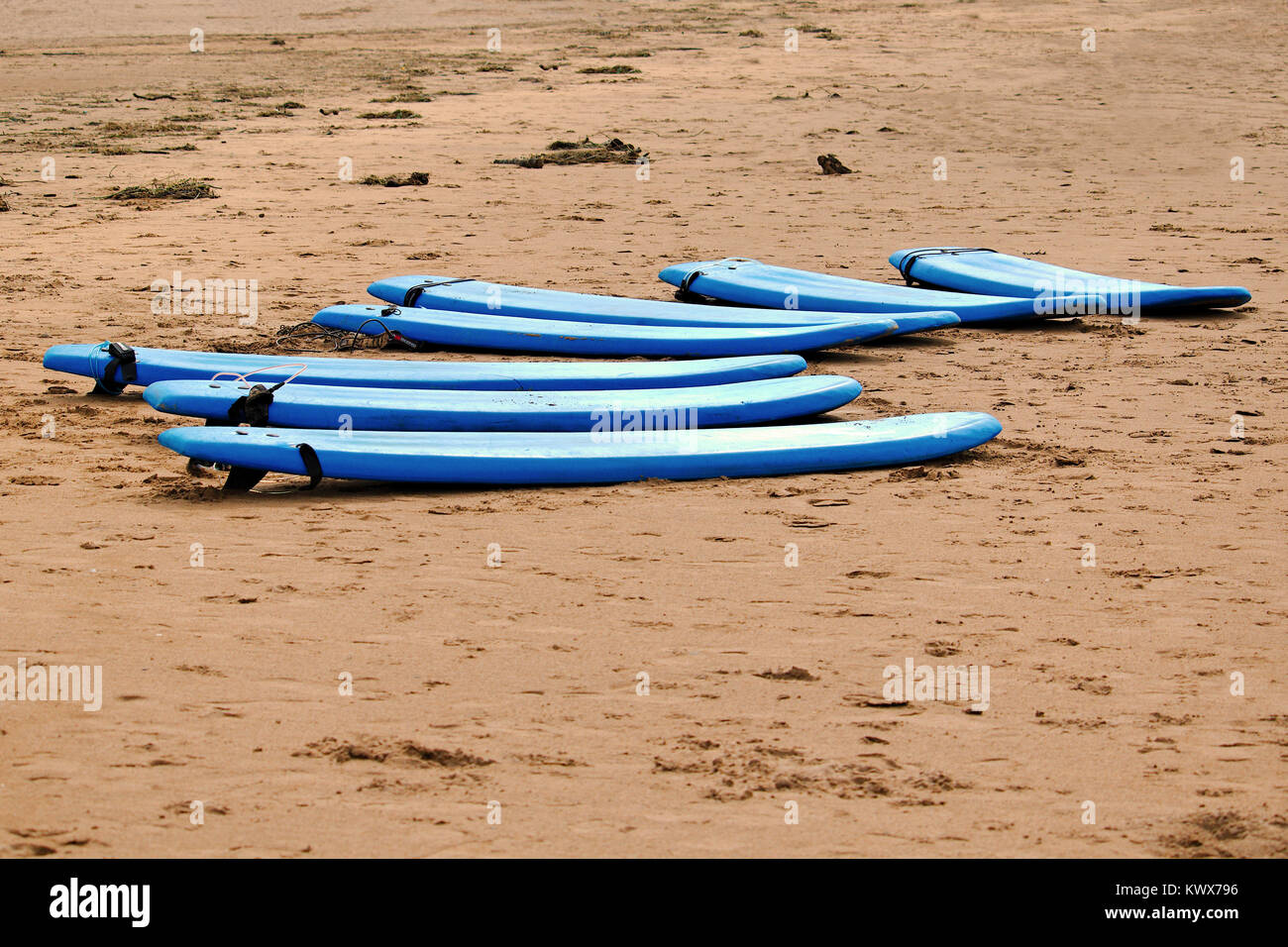 Seven blue surfboards on a beach Stock Photo - Alamy