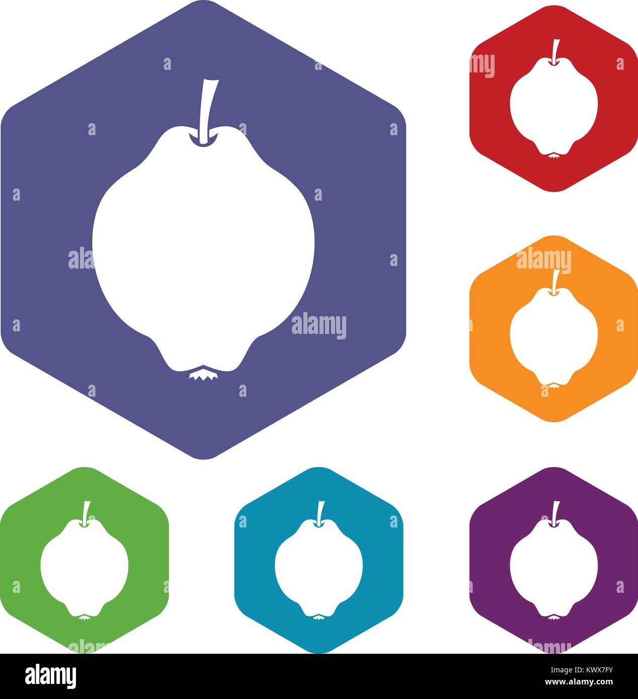Quince fruit icons set rhombus in different colors isolated on white ...