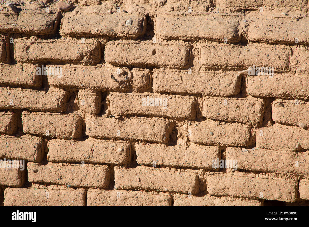 Fort wall ruins, Fort Craig National Historic Site, Socorro Bureau of ...