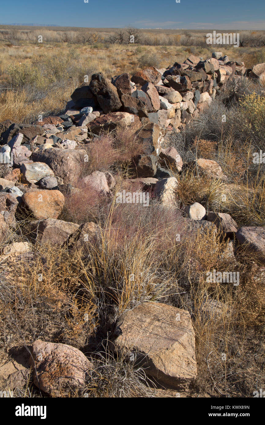 Fort wall ruins, Fort Craig National Historic Site, Socorro Bureau of ...