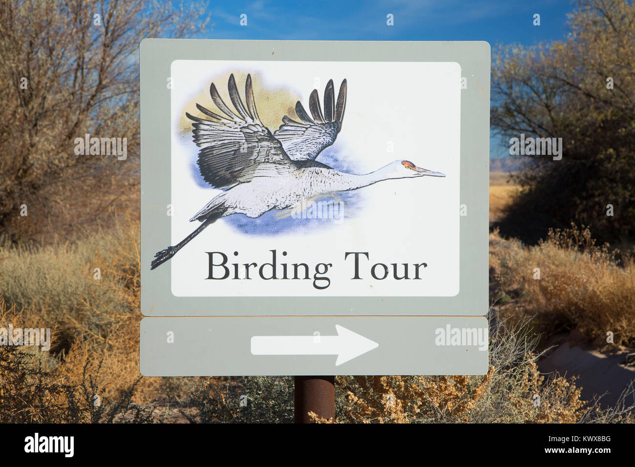 Birding Trail sign, Bernardo Wildlife Management Area, New Mexico Stock ...