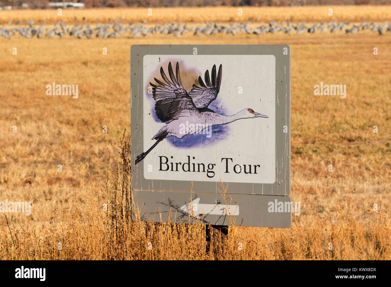 Birding Trail sign, Bernardo Wildlife Management Area, New Mexico Stock ...