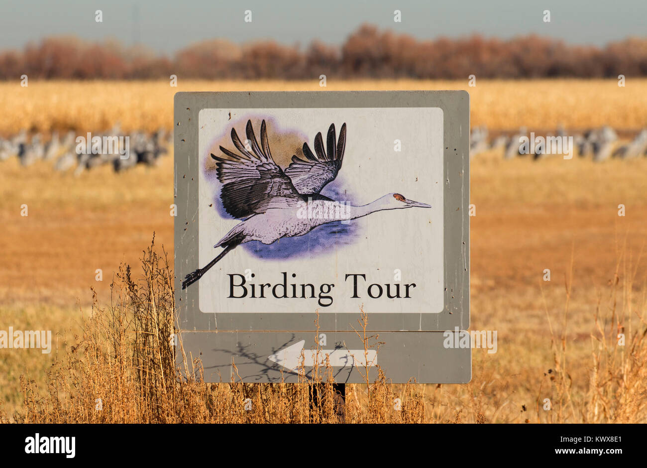 Birding Trail sign, Bernardo Wildlife Management Area, New Mexico Stock ...