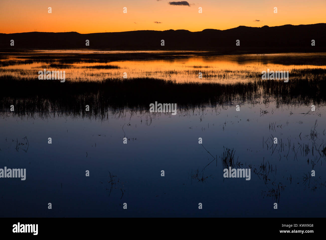 Wetland pond sunset, Bosque del Apache National Wildlife Refuge, New ...