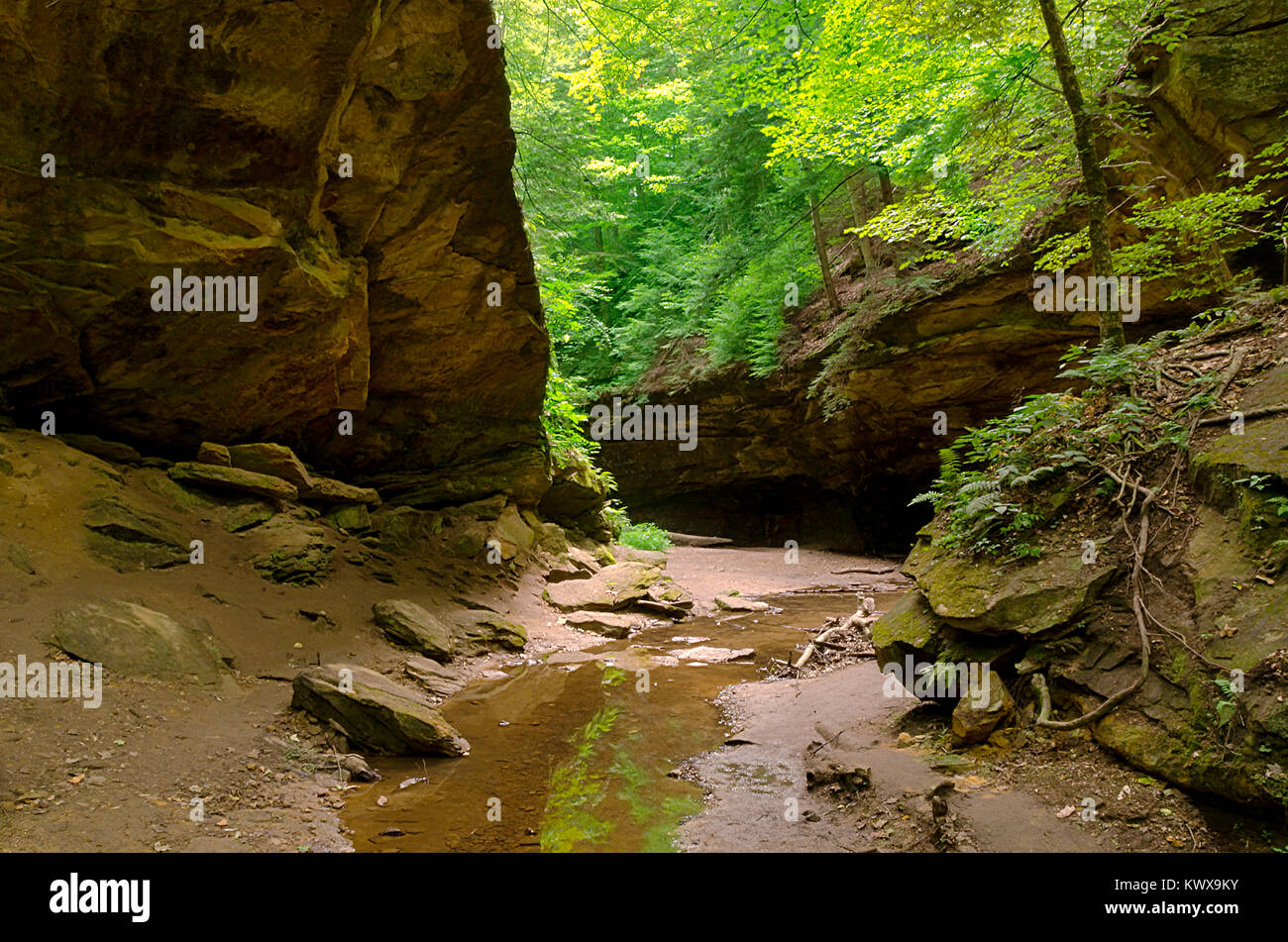 A dry creaked transforms into a natural walking path between rock ...