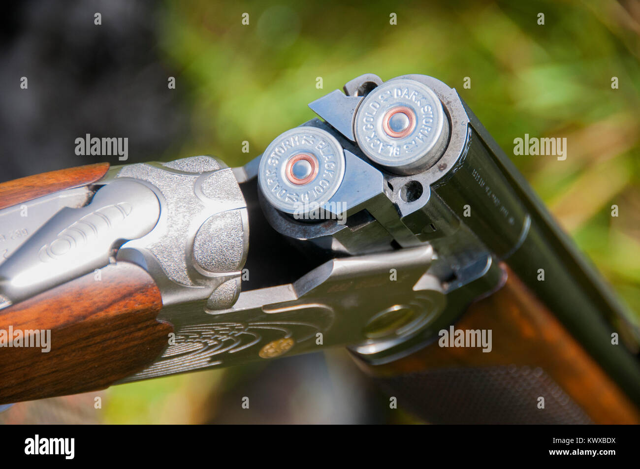 12 bore shotgun Stock Photo - Alamy