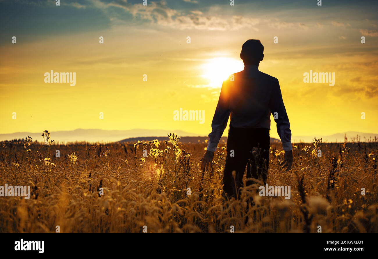 Calm manager walking towards the sunrise Stock Photo - Alamy