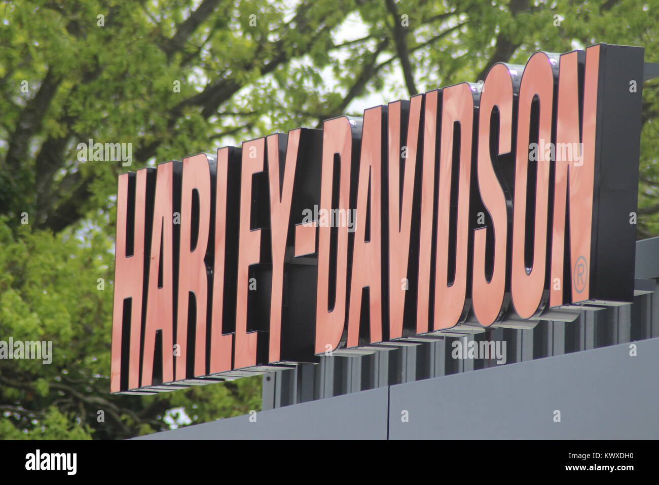 Harley Davidson Open Day - Reading (UK Stock Photo - Alamy