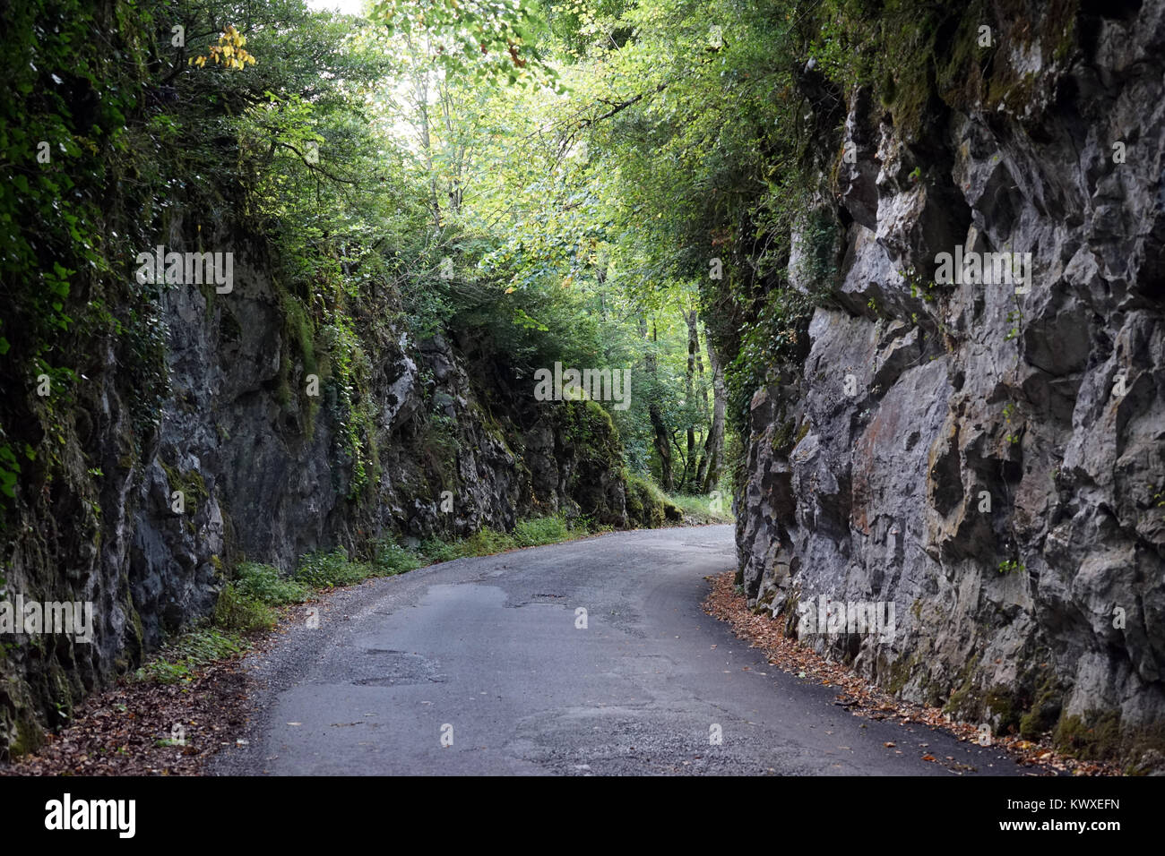 Narrow road with two rock walls in the forest Stock Photo - Alamy