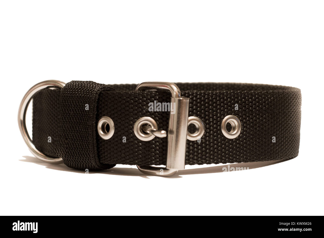 Black dog collar isolated on white background Stock Photo - Alamy