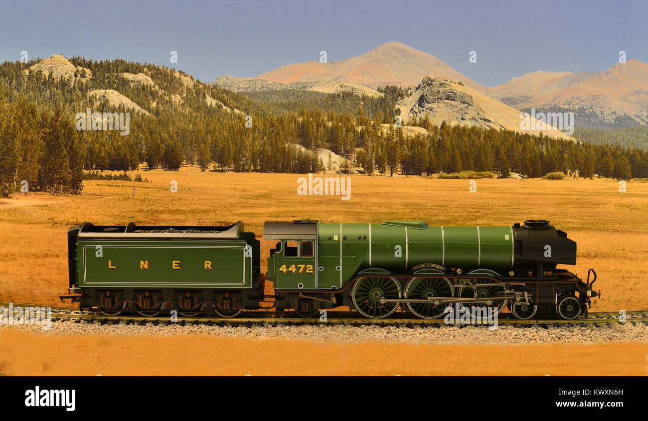 A model of an A3 locomotive on a scenic background Stock Photo - Alamy