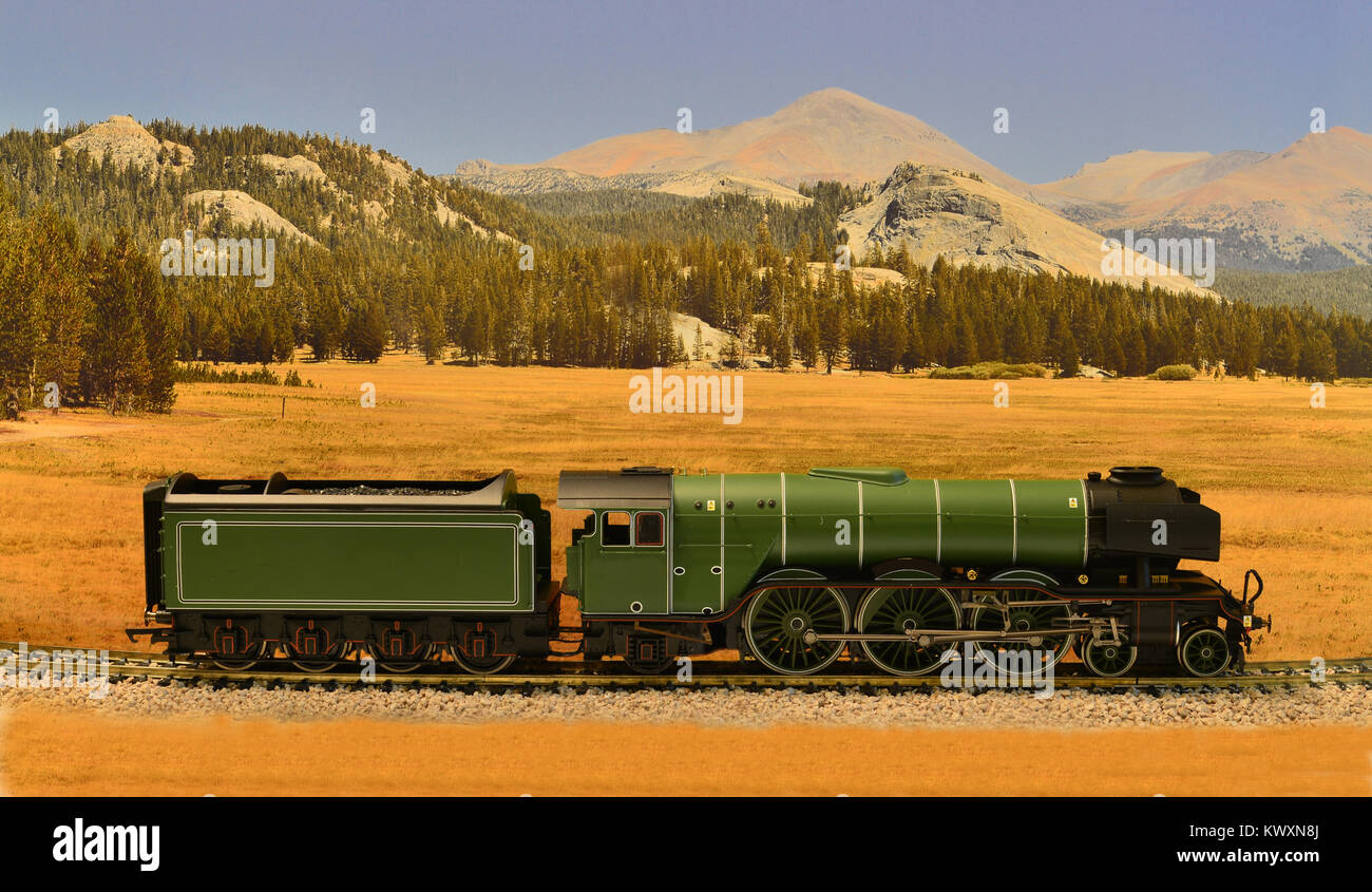 A model of an A3 locomotive on a scenic background Stock Photo - Alamy