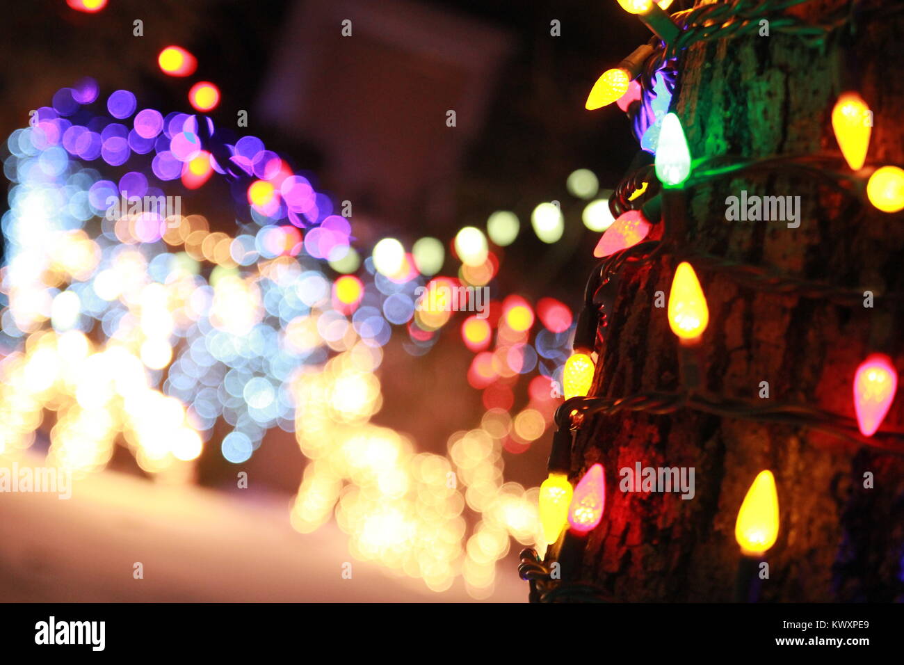 Twinkling christmas lights hi-res stock photography and images - Alamy