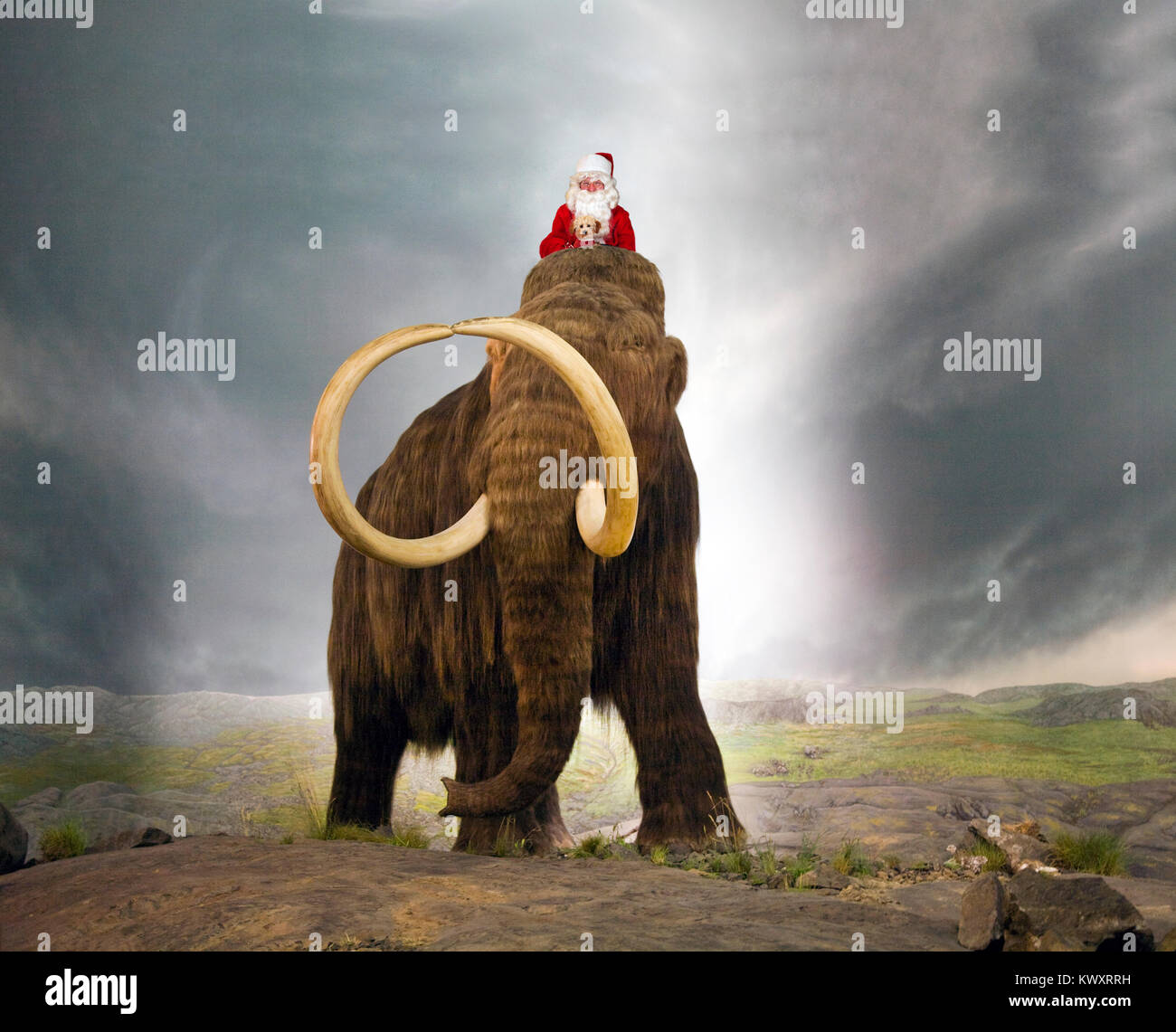 Frozen woolly mammoth hi-res stock photography and images - Alamy Frozen woolly mammoth hi-res stock photography and images - Alamy