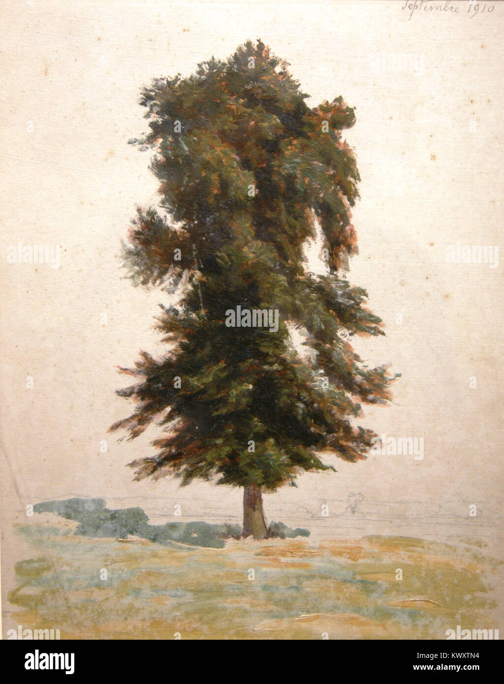 Arbre grand arbre hi-res stock photography and images - Alamy