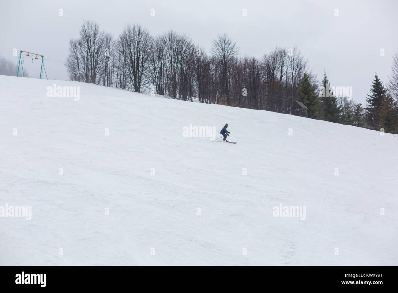 The slope of the mountain is covered with snow. Along it trees grow. A ...