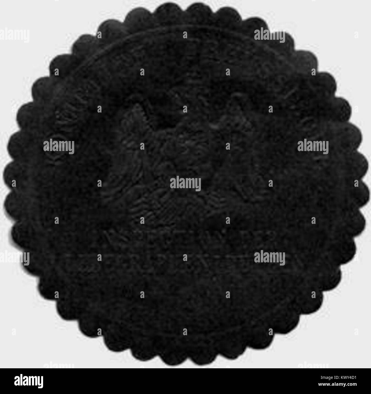 Royal troops inspection Black and White Stock Photos & Images - Alamy