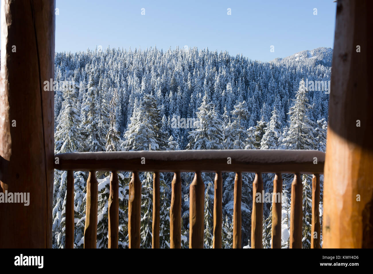 Log fir view hi-res stock photography and images - Alamy