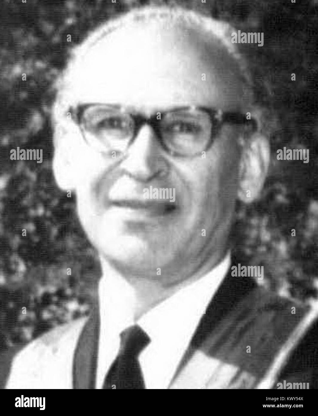 Portrait of Mehdi Bayani, a figure of historical or cultural ...