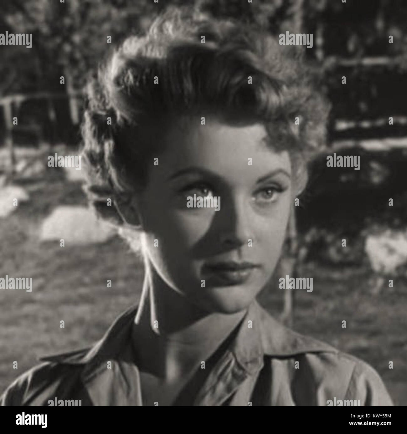 Milly vitale hi-res stock photography and images - Alamy