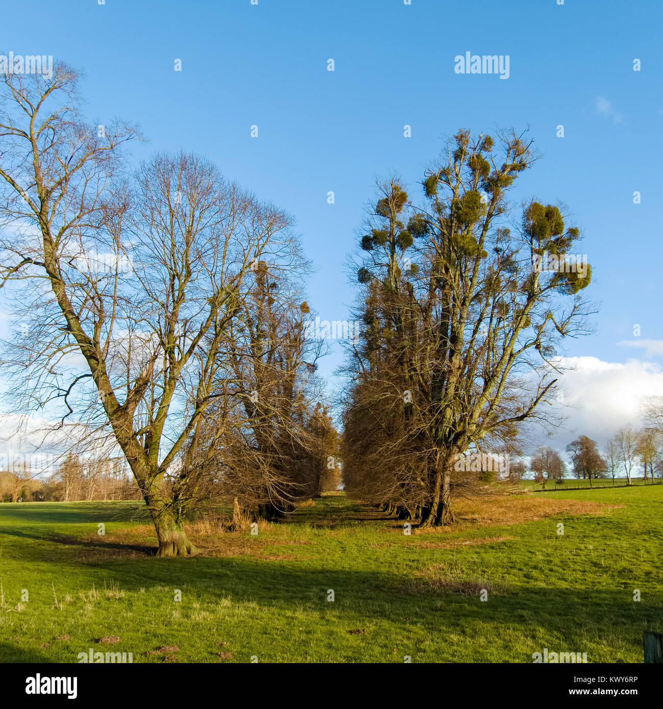 Itchen chalk stream spring hi-res stock photography and images - Alamy