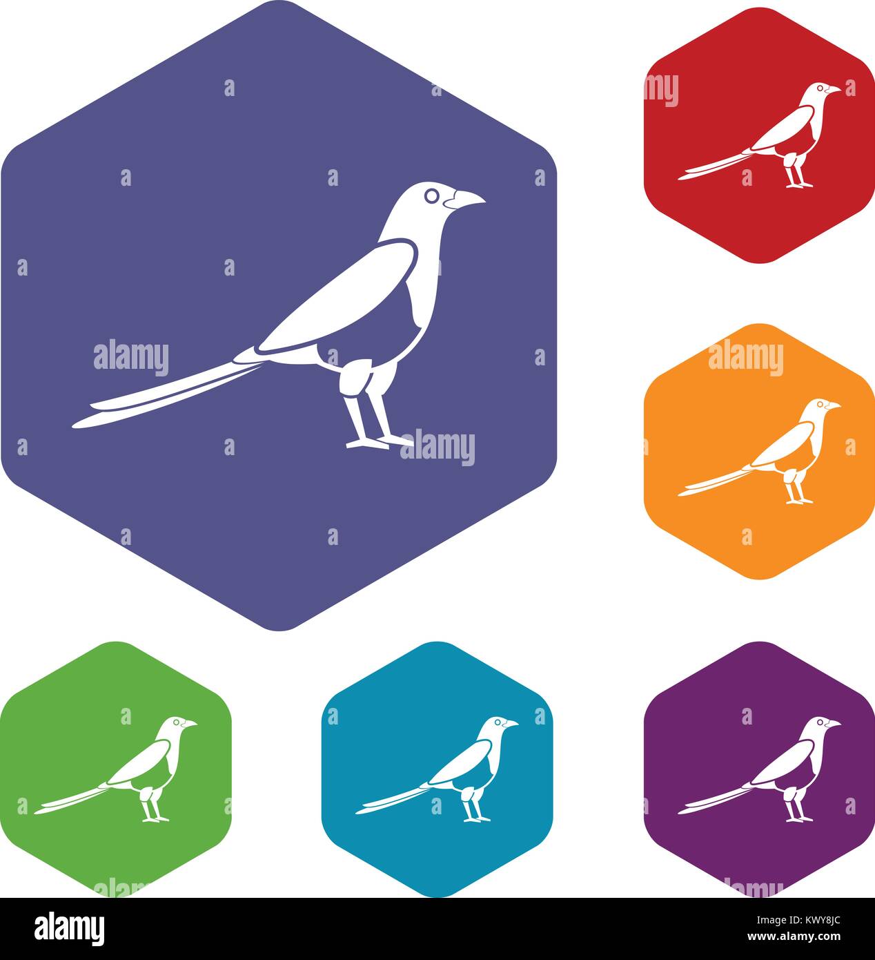 Bird magpie icons set Stock Vector Image & Art - Alamy