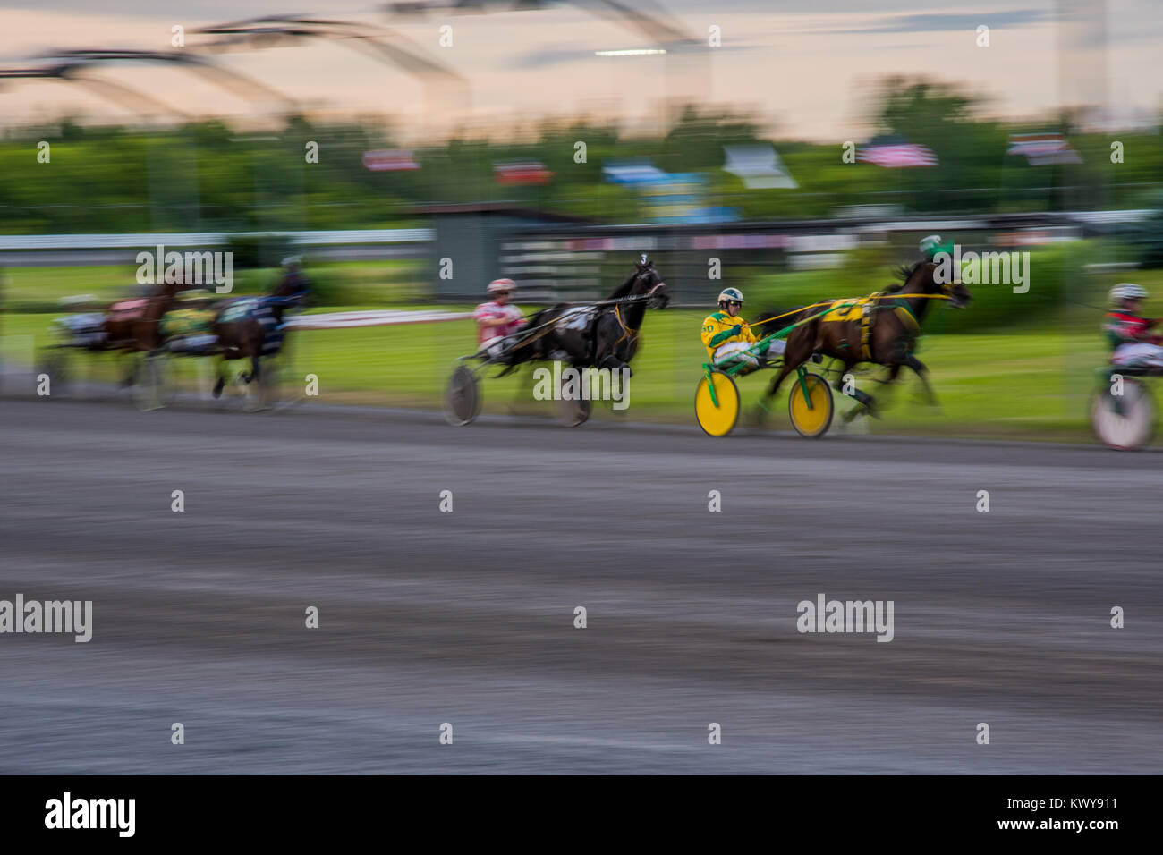 Canada horse hi-res stock photography and images - Alamy