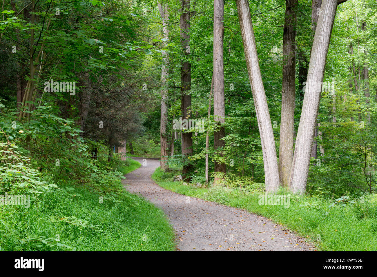 Gravel pathway hi-res stock photography and images - Alamy
