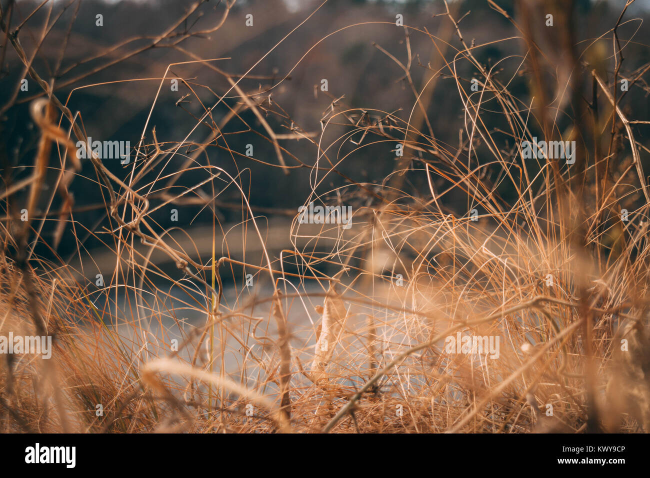 Grass adventure hi-res stock photography and images - Alamy