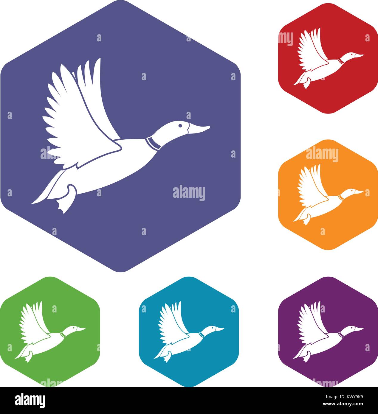 Duck icons set Stock Vector Image & Art - Alamy