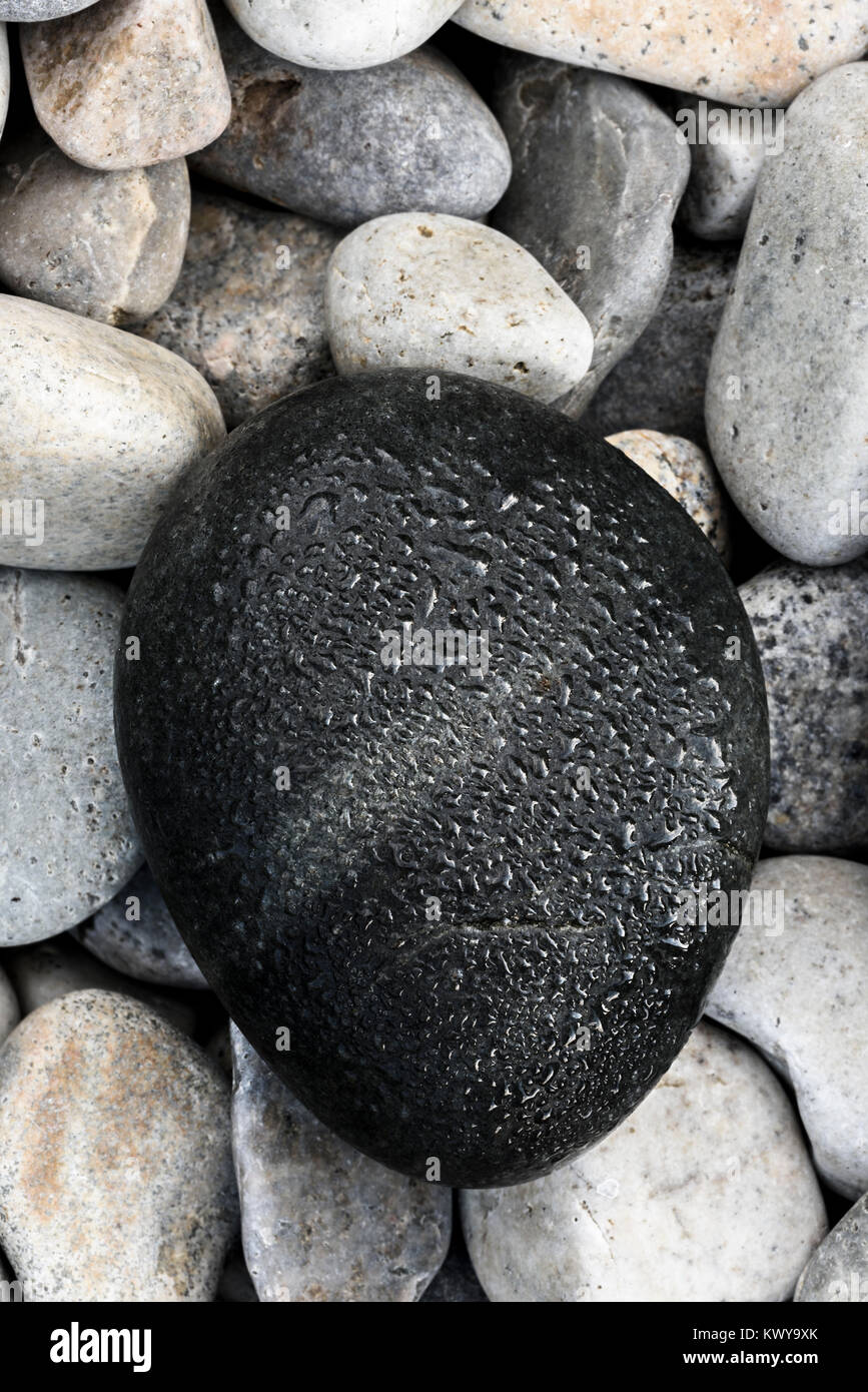 Detail of stone beach along Acadia National Park shoreline Stock Photo ...