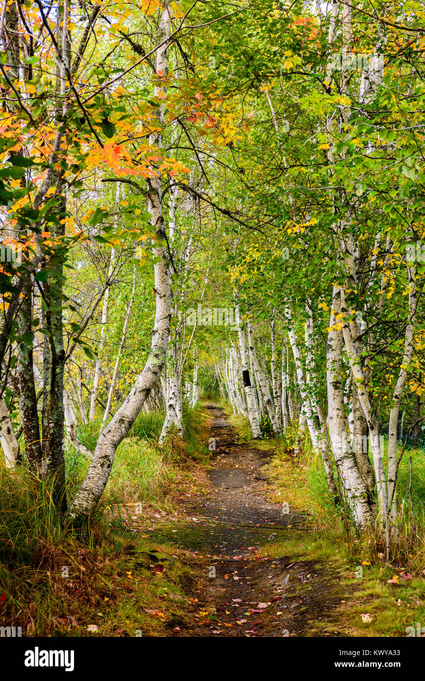 Hiking in acadia national park hi-res stock photography and images - Alamy