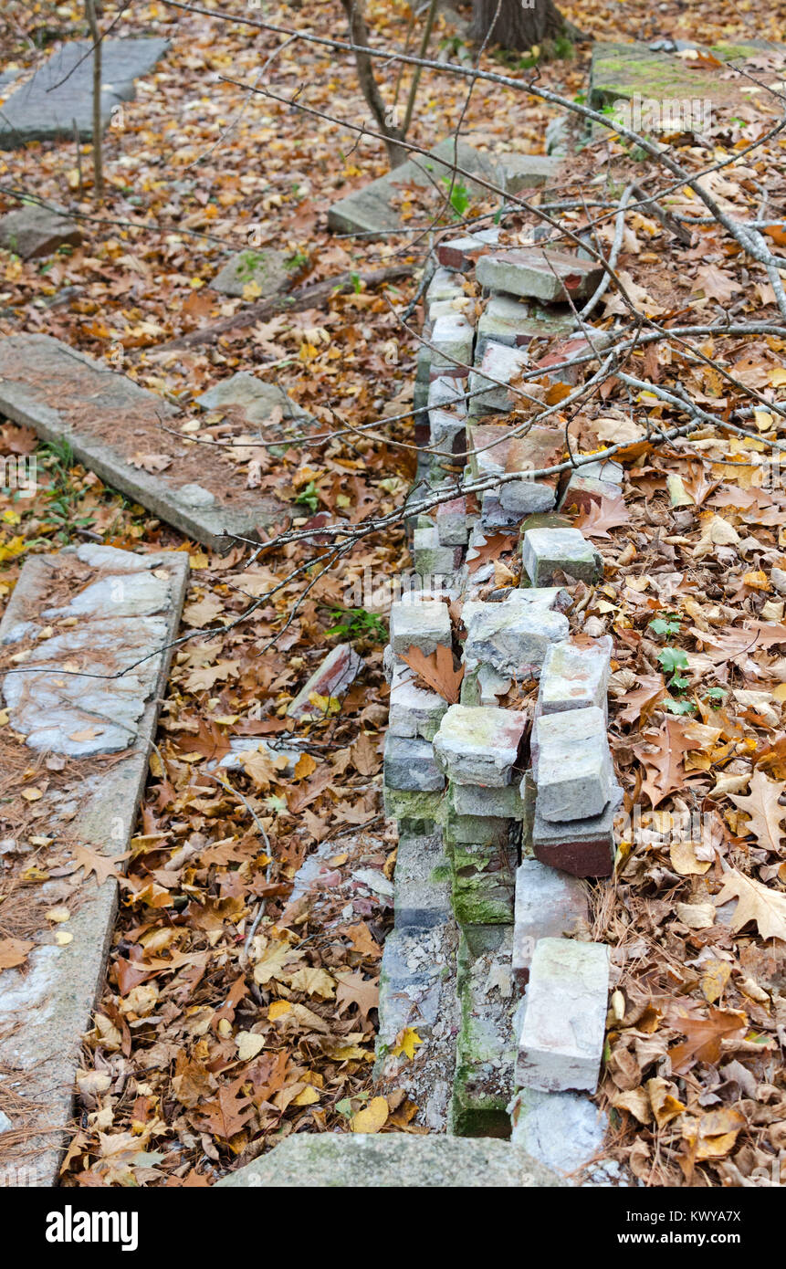 The ruins of Old Farm, George Dorr's estate, in the woods near Compass ...