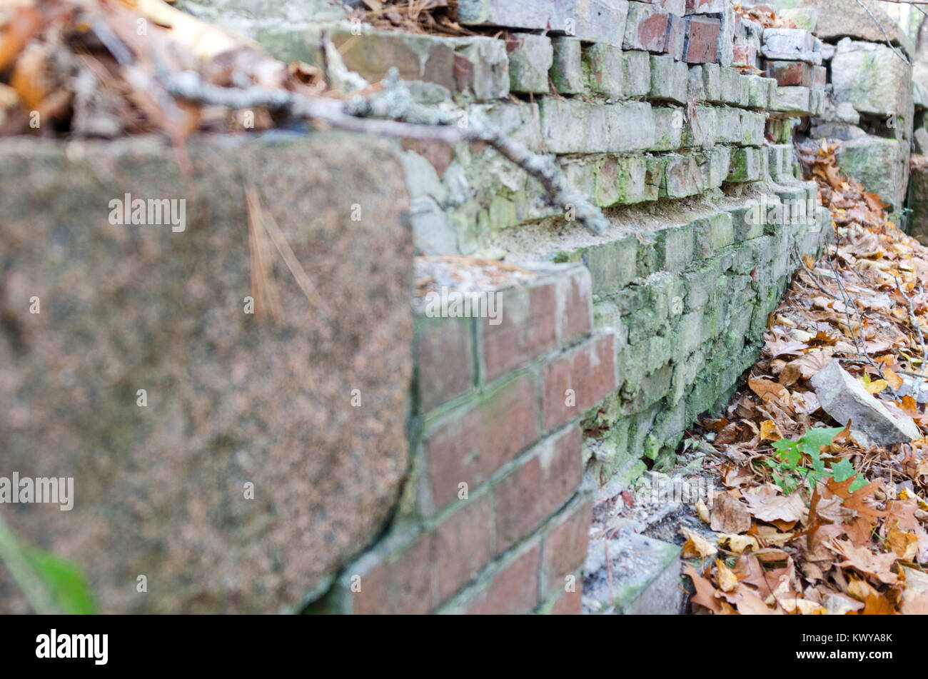 The ruins of Old Farm, George Dorr's estate, in the woods near Compass ...