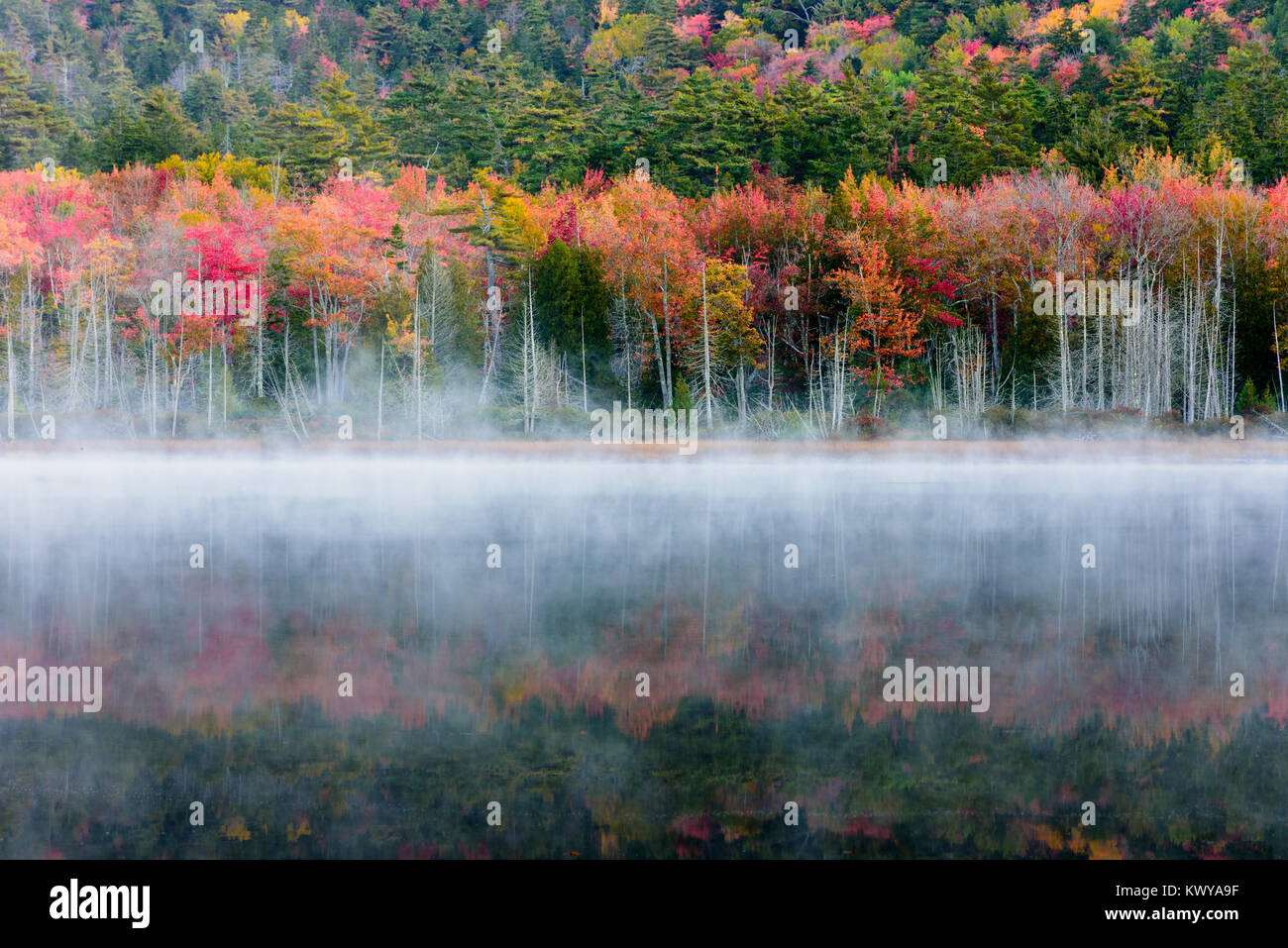 Upper Hadlock Pond with autumn foliage and morning fog in Acadia ...
