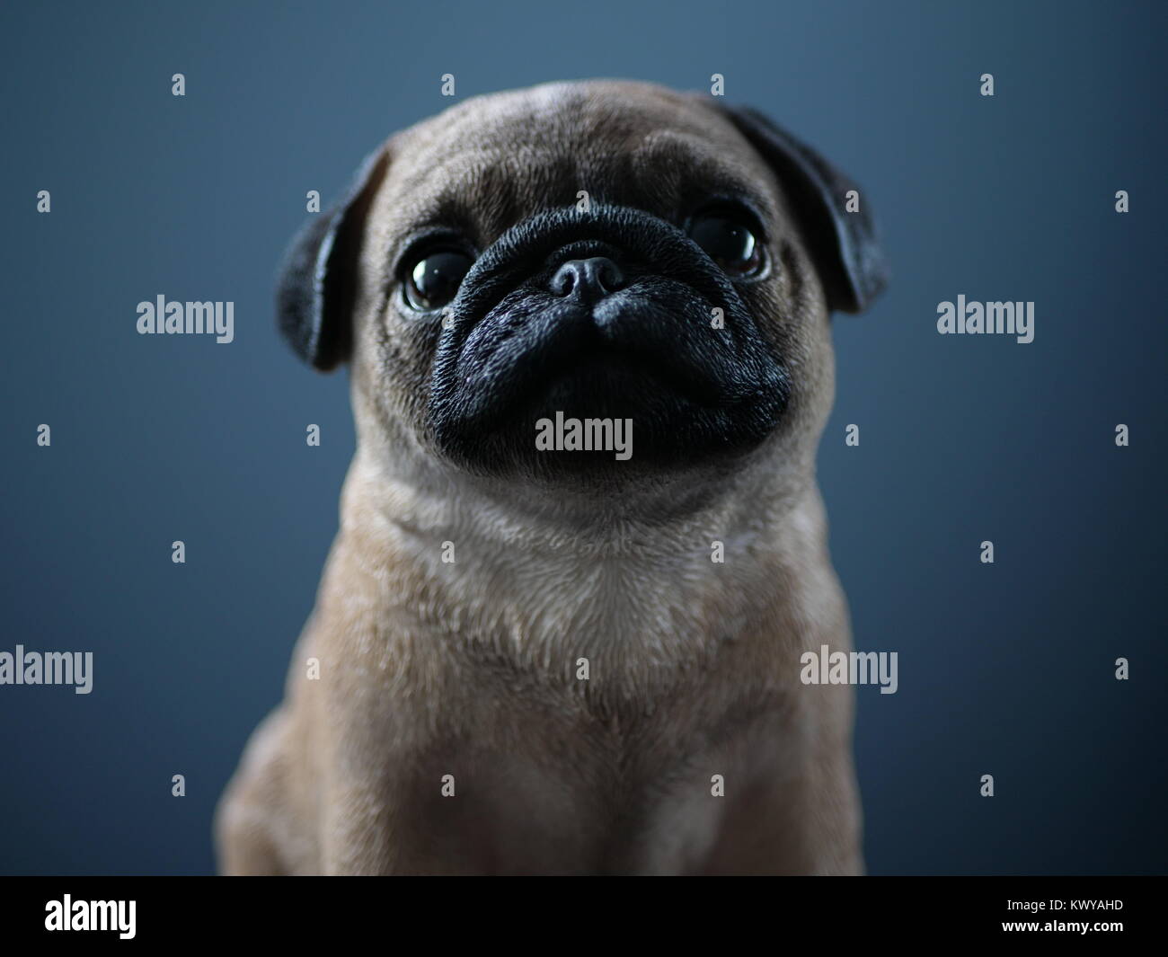 Realistic Pug Statue Stock Photo - Alamy