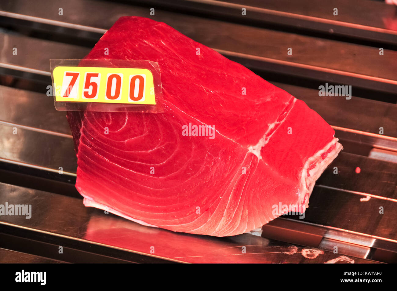 Fresh cut tuna from the Tokyo Tsukiji Fish Market Stock Photo - Alamy