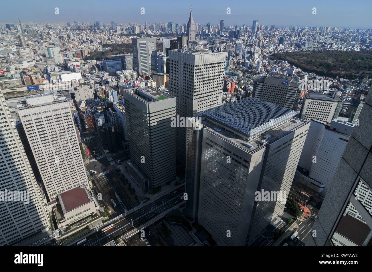 The Tokyo Skyline as seen from the Tokyo Metropolitan Government ...
