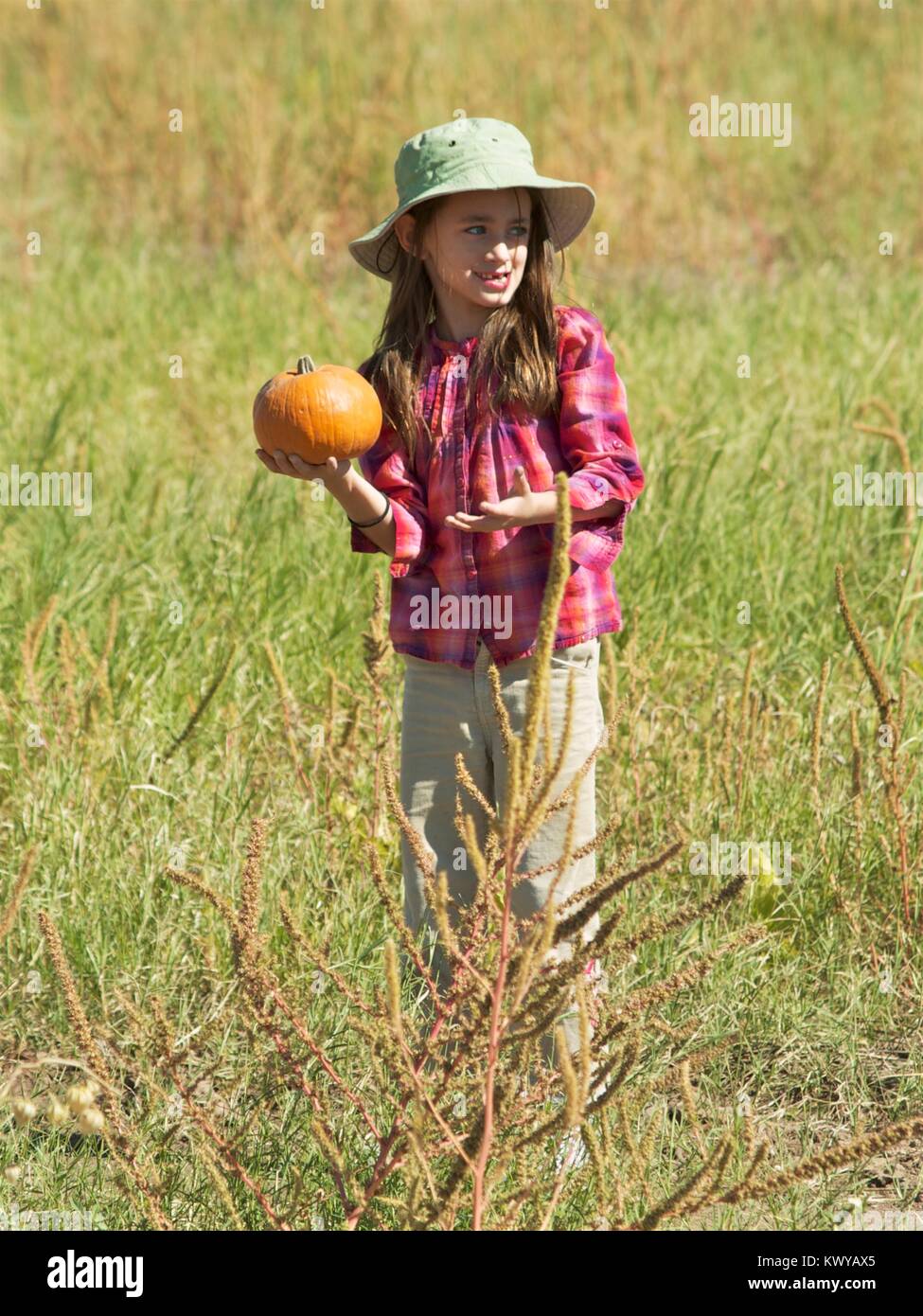 Kid in a pumpkin patch Stock Photo - Alamy