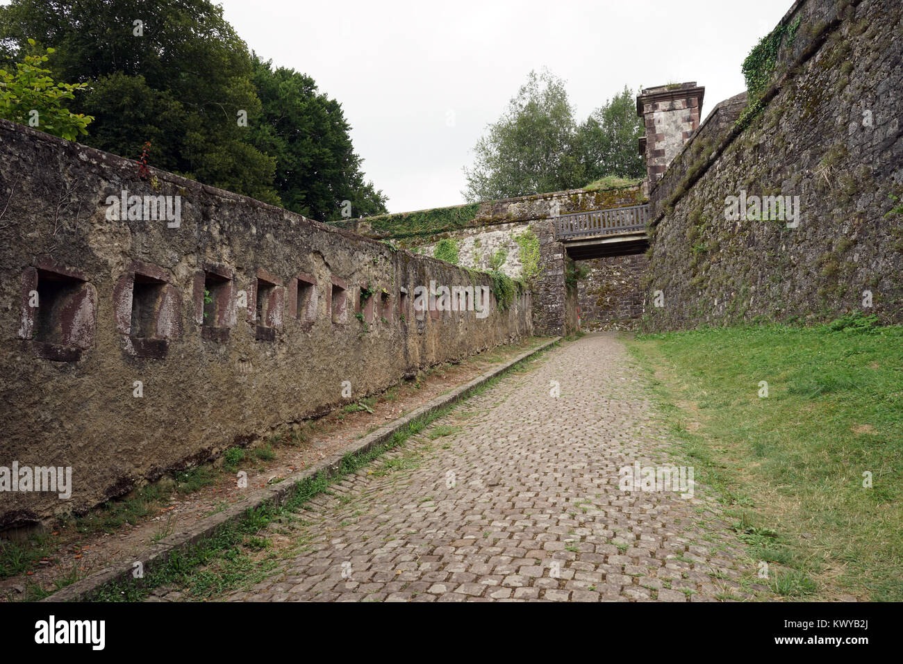 Pied de protection hi-res stock photography and images - Alamy