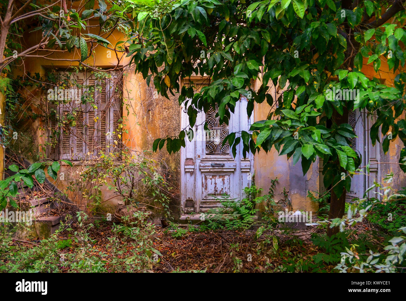 The entrance of an abandoned house .The courtyard with overgrown ...