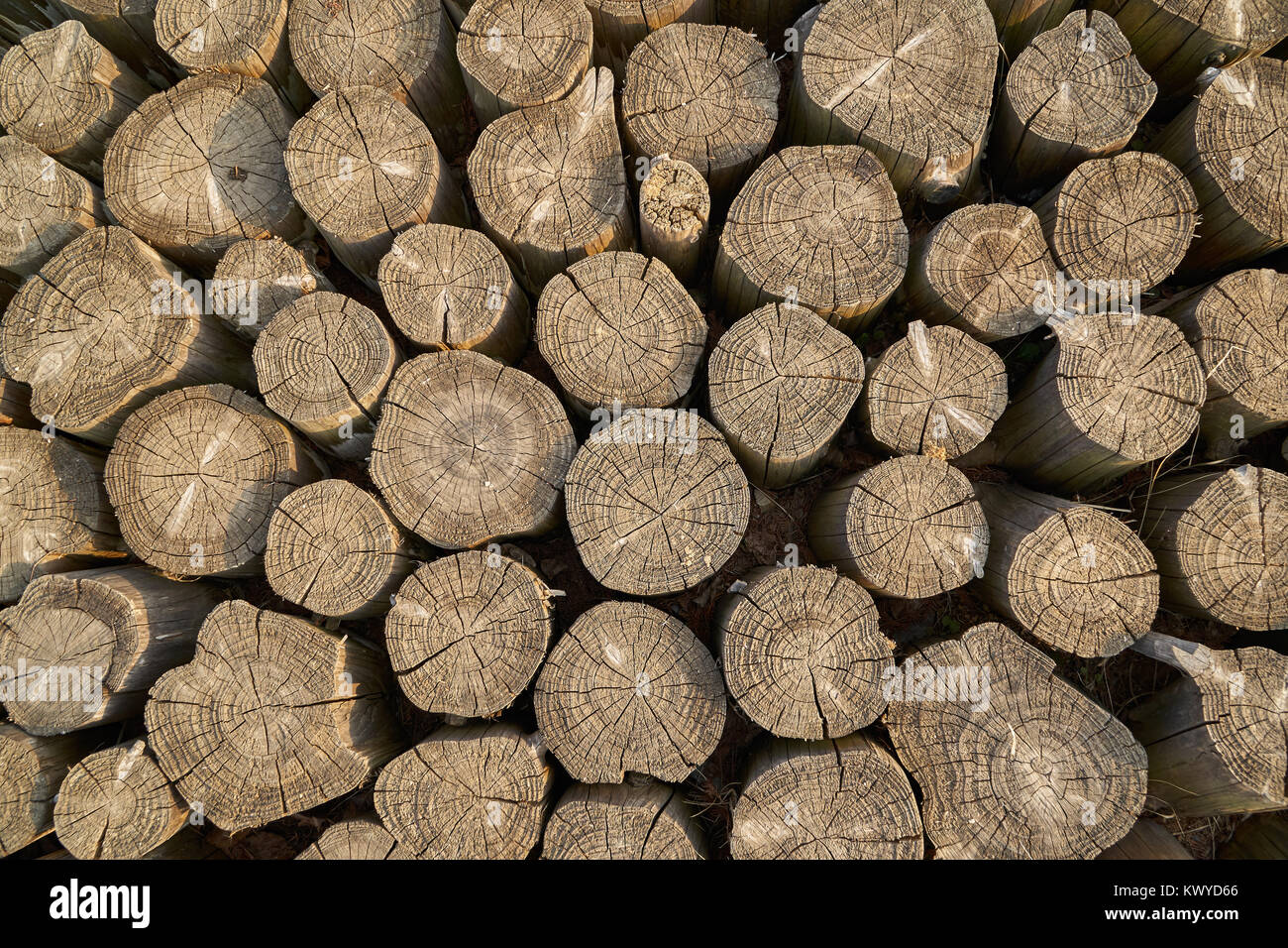 Well-organized cutted logs piled at outdoor Stock Photo - Alamy