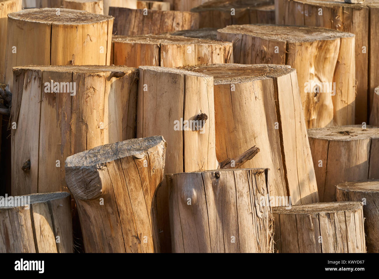 Well organized hi-res stock photography and images - Alamy