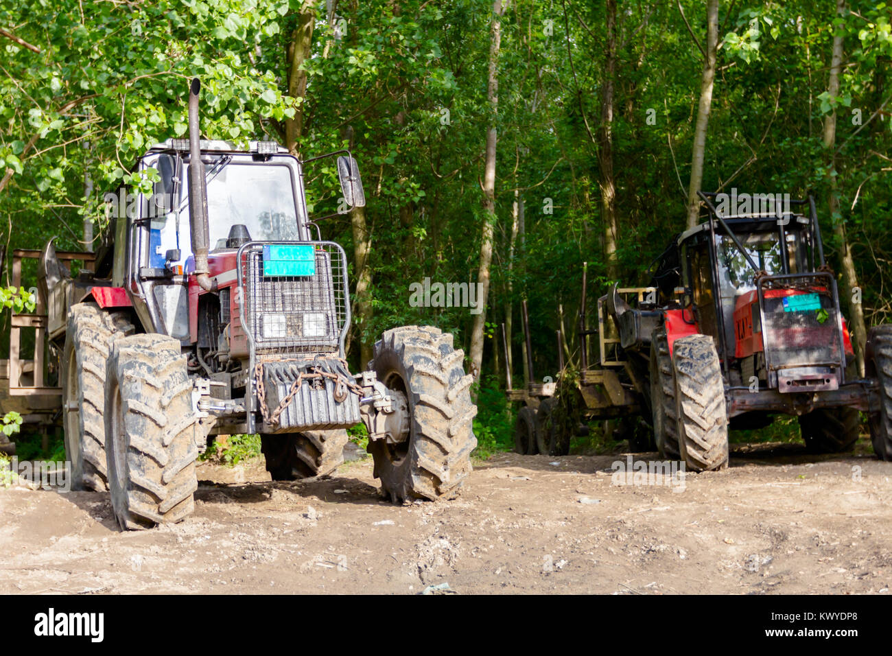 Deforestation zone hi-res stock photography and images - Alamy