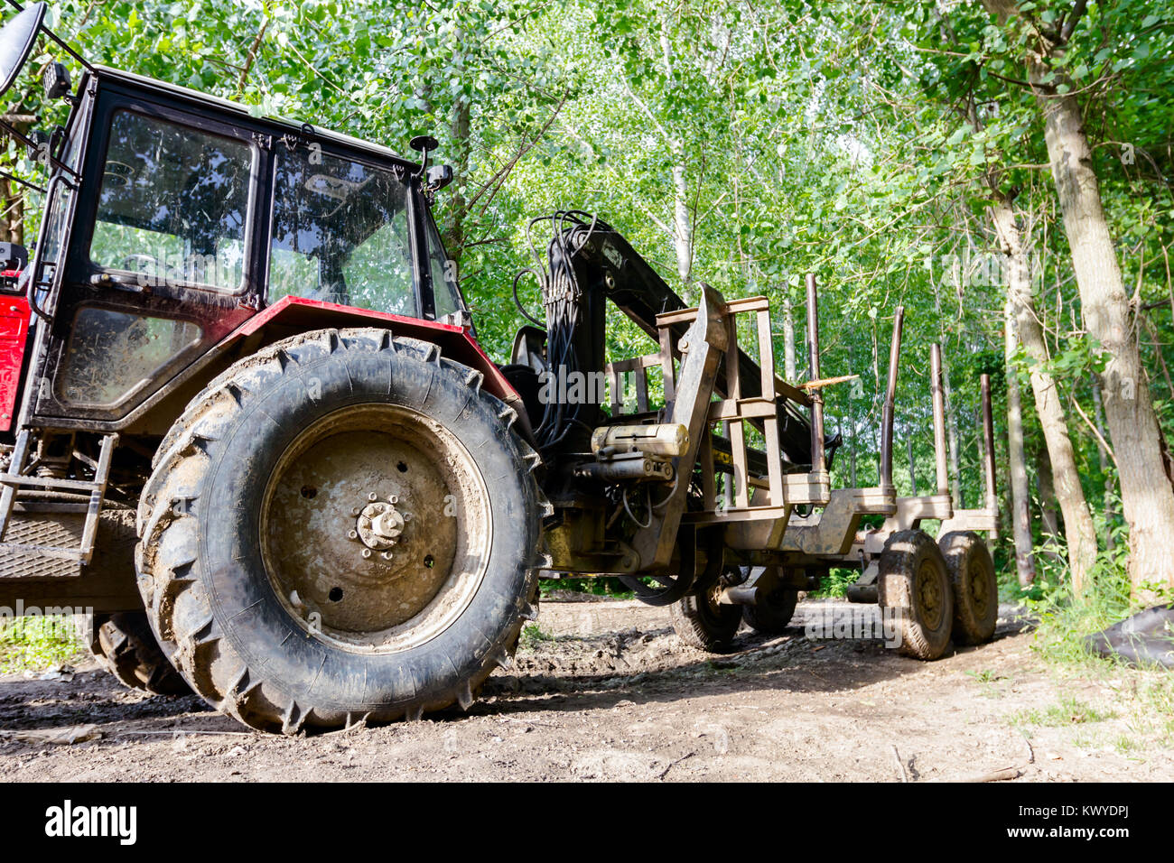 View on the group of deforestation machinery is parked in group ...