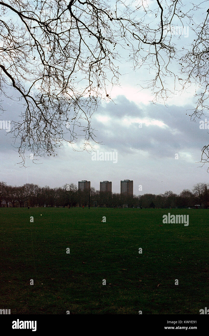 Tower blocks visible from Victoria Park, London Stock Photo - Alamy