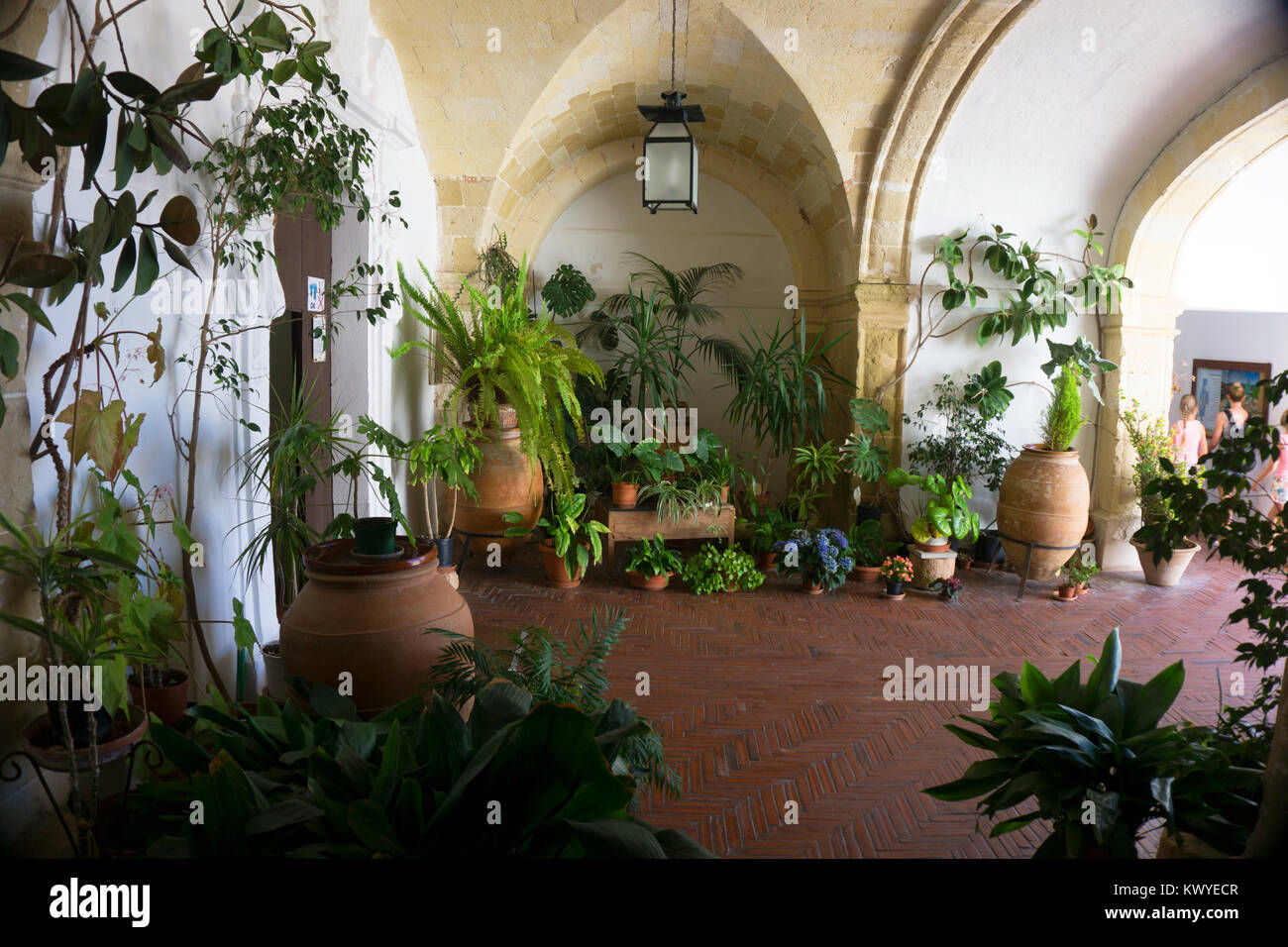 Mont toro menorca hi-res stock photography and images - Alamy
