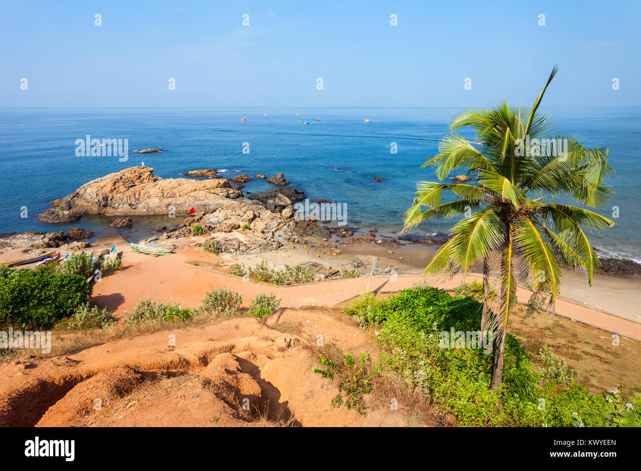 Vagator or Ozran beach with palms aerial panoramic view in north Goa ...