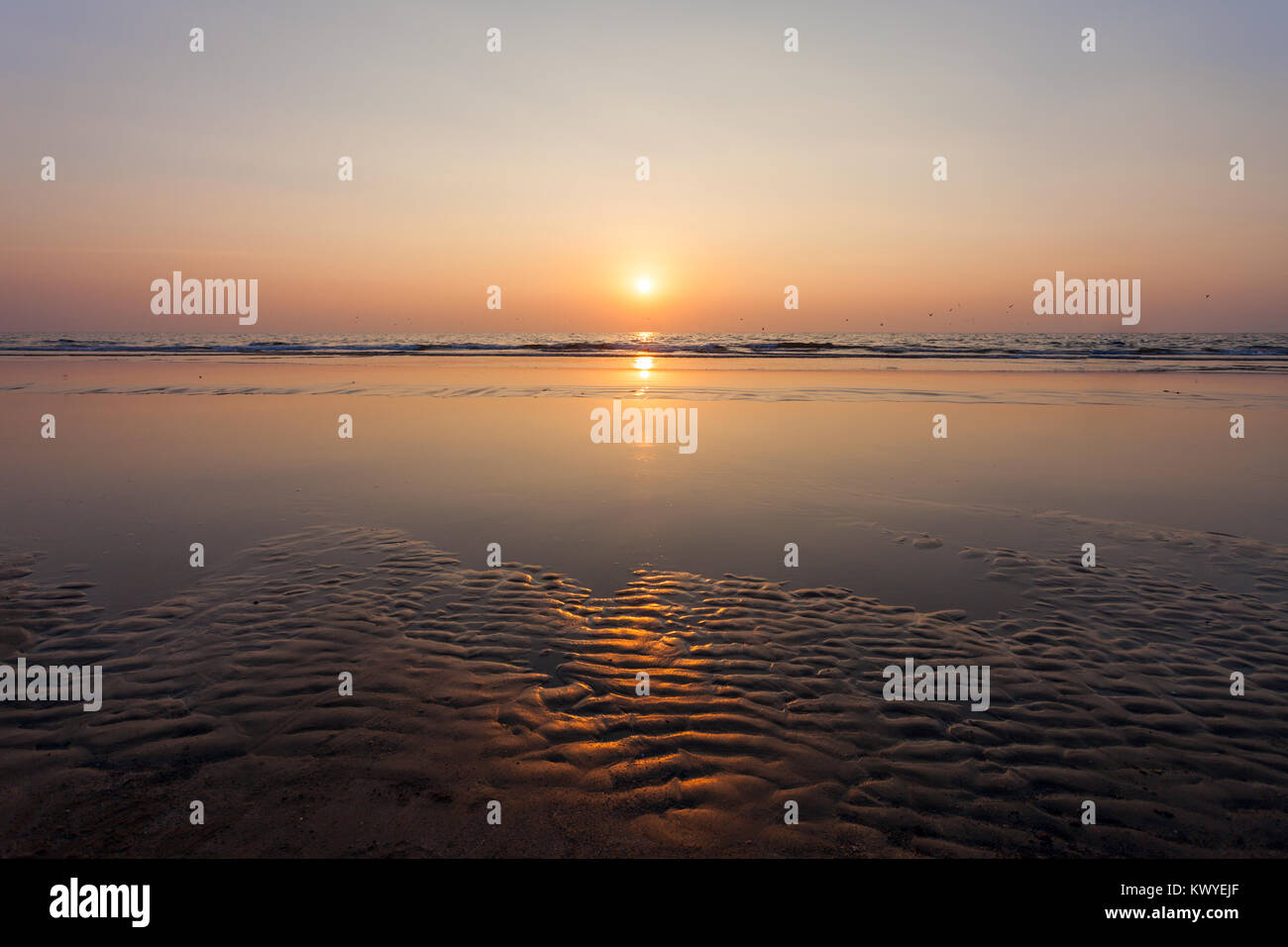 Beautiful beach sunset india hi-res stock photography and images - Alamy